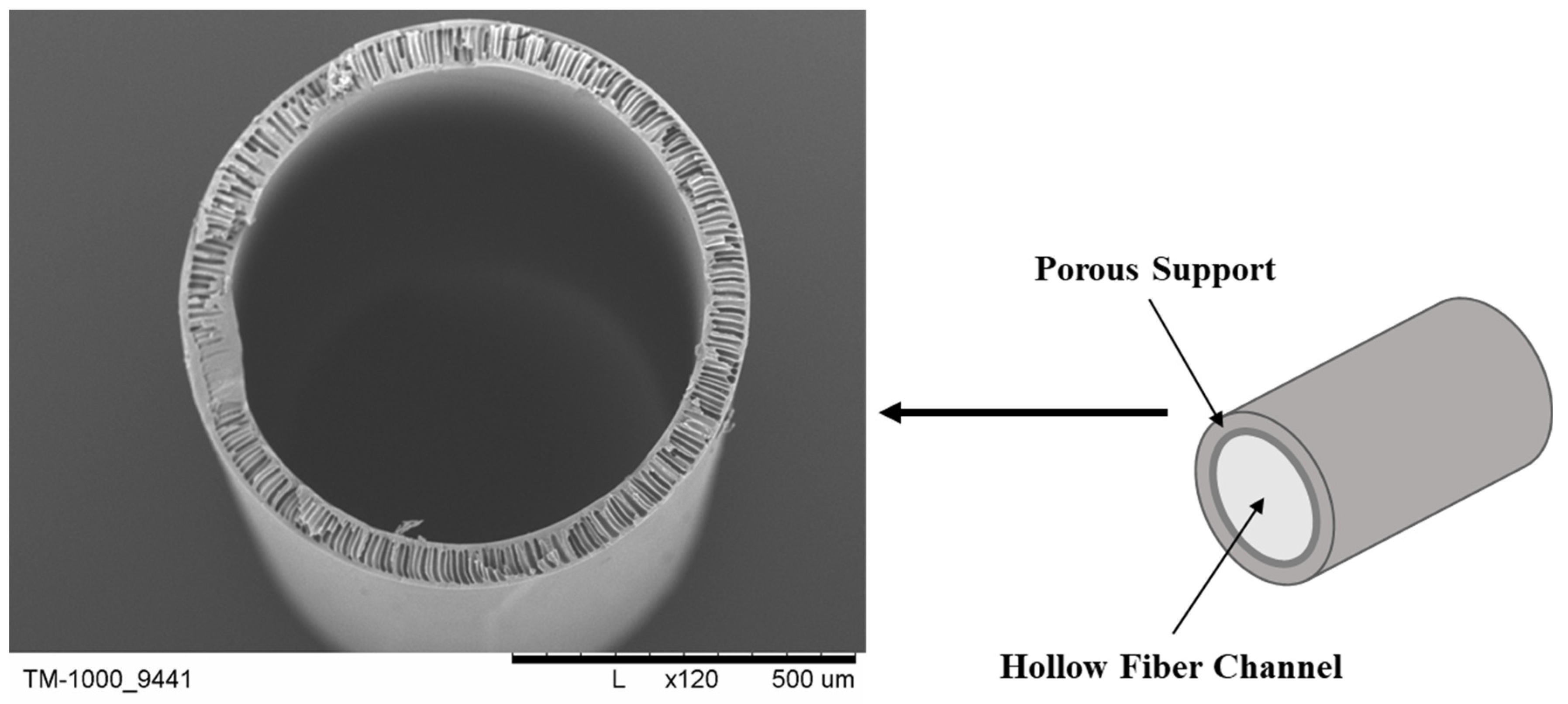 Molecules | Free Full-Text | A Comprehensive Review of Hollow-Fiber Membrane Fabrication Methods ...