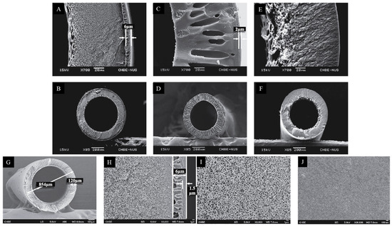 A Comprehensive Review of Hollow-Fiber Membrane Fabrication Methods ...