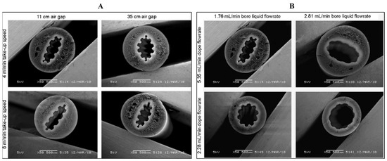 A Comprehensive Review of Hollow-Fiber Membrane Fabrication Methods ...