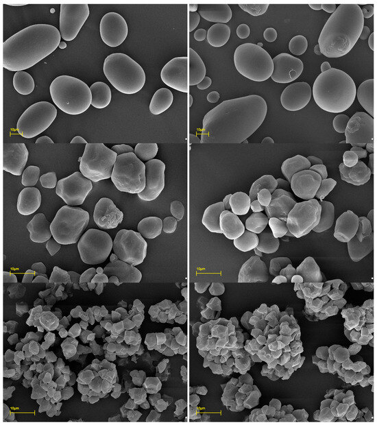 Insight into Rheological Properties and Structure of Native Waxy ...