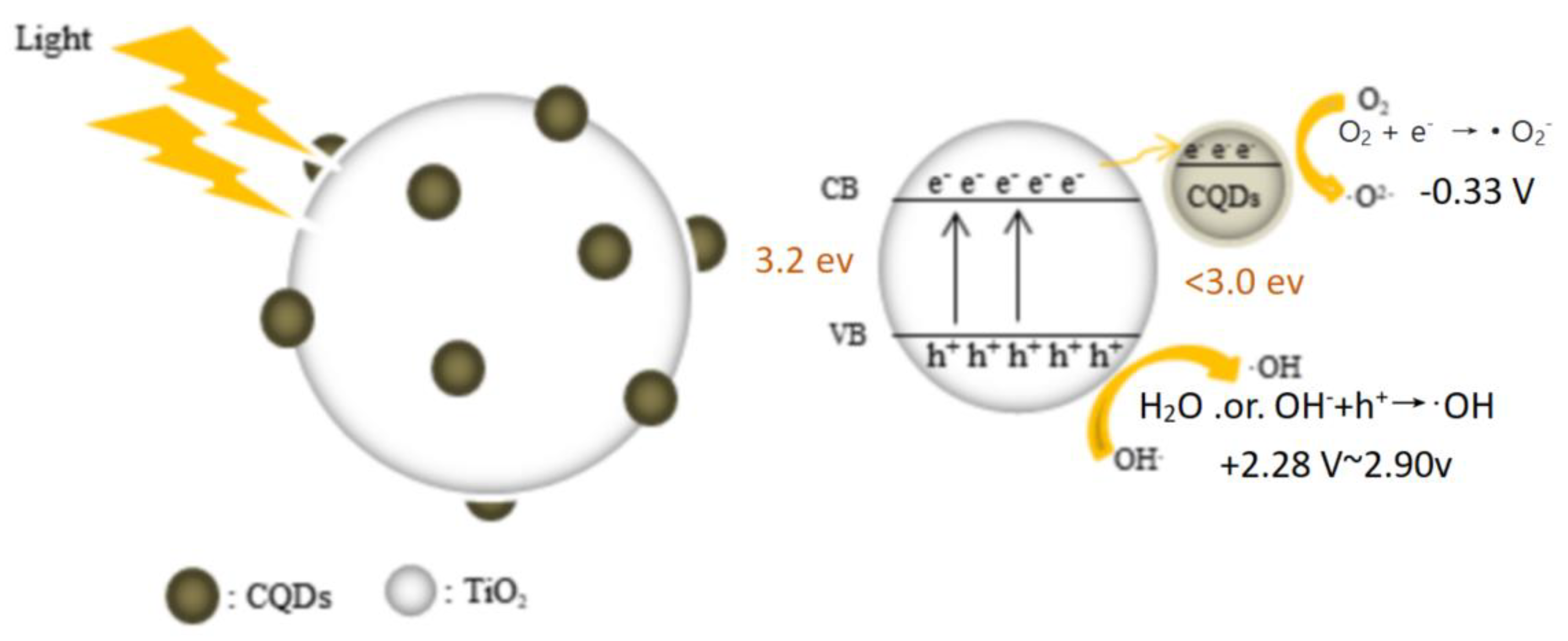Visible Light Enhancement of Biocarbon Quantum-Dot-Decorated TiO2 for ...