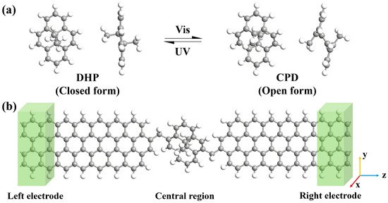 Effect of Bridging Manner on the Transport Behaviors of ...