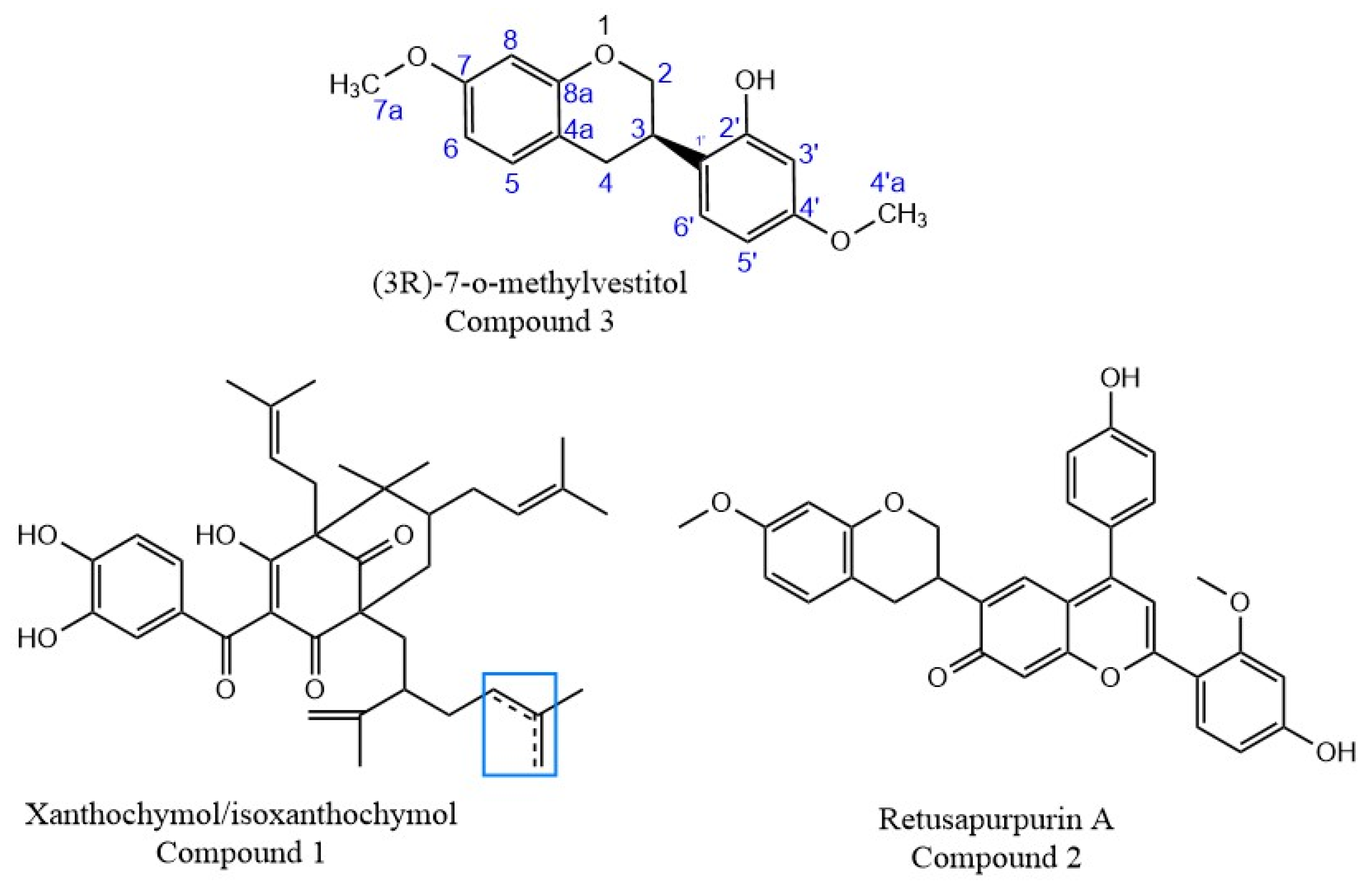 Preparative Fractionation of Brazilian Red Propolis Extract Using Step ...