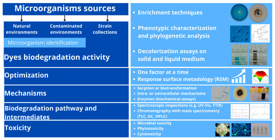 Omics-Based Approaches in Research on Textile Dye Microbial Decolorization