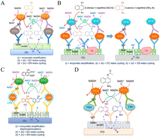 Overview on the Development of Electrochemical Immunosensors by the ...