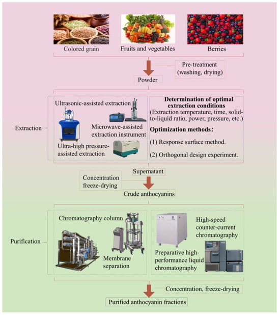 Research Progress on the Extraction and Purification of Anthocyanins ...