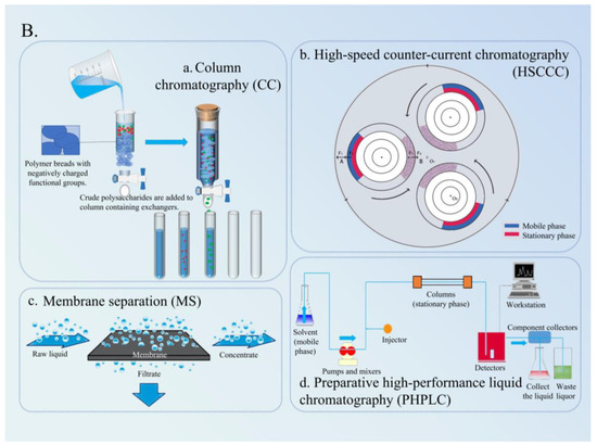 Research Progress on the Extraction and Purification of Anthocyanins ...