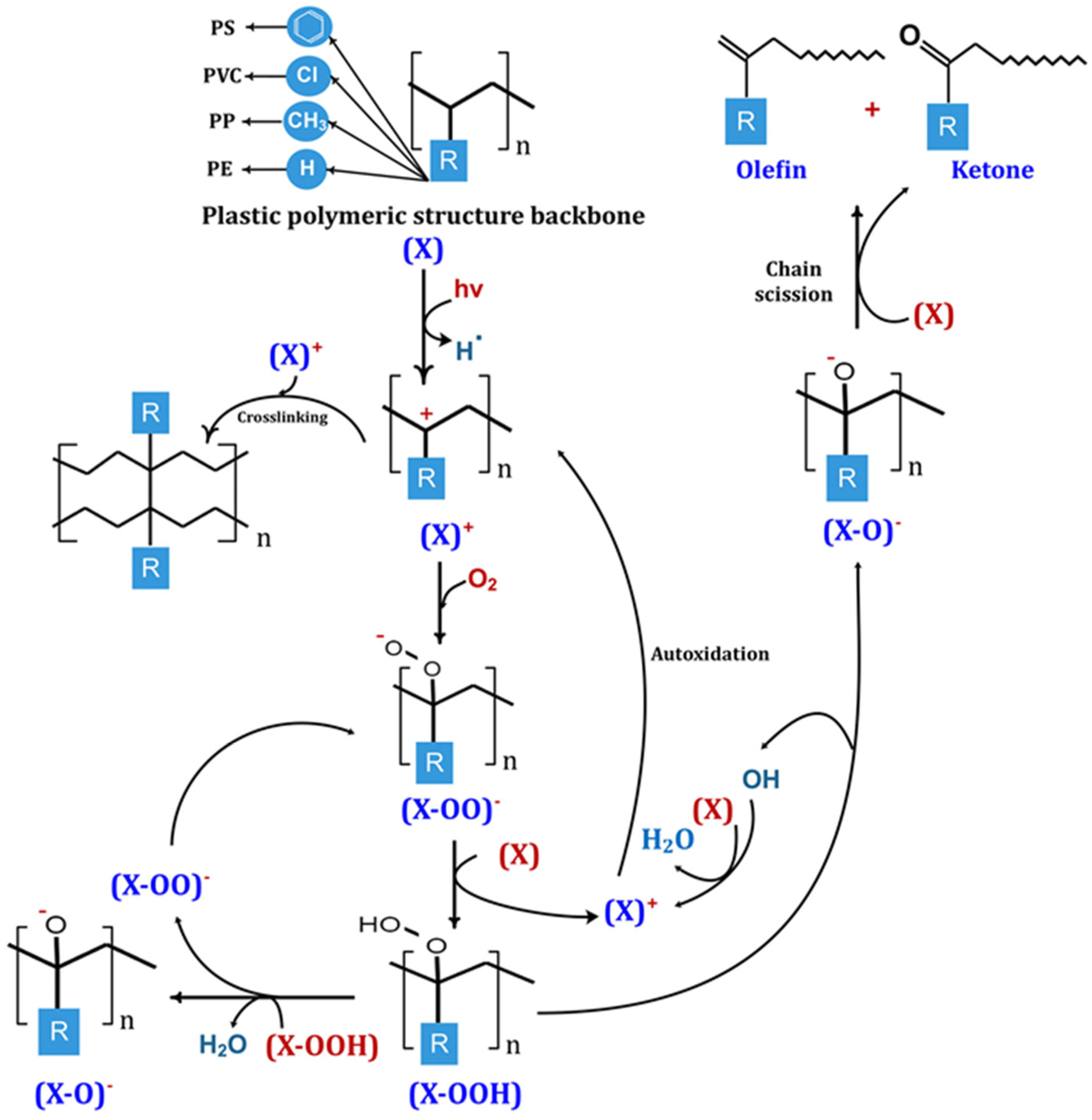 An Overview of the Sustainable Depolymerization/Degradation of Polypropylene Microplastics by ...