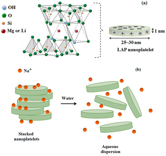 Laponite®—From Dispersion to Gel—Structure, Properties, and Applications