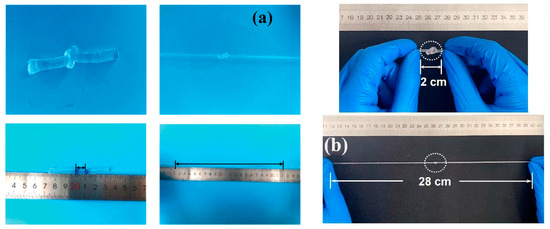 Laponite®—From Dispersion to Gel—Structure, Properties, and Applications
