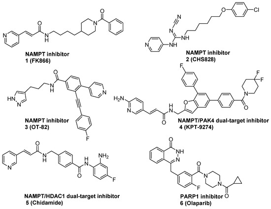 Targeting NAD Metabolism: Rational Design, Synthesis and In Vitro Evaluation of NAMPT/PARP1 Dual ...