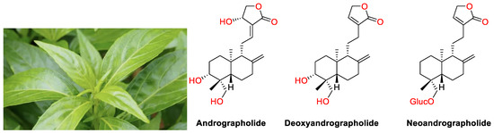 Synthetic Modifications of Andrographolide Targeting New Potential ...