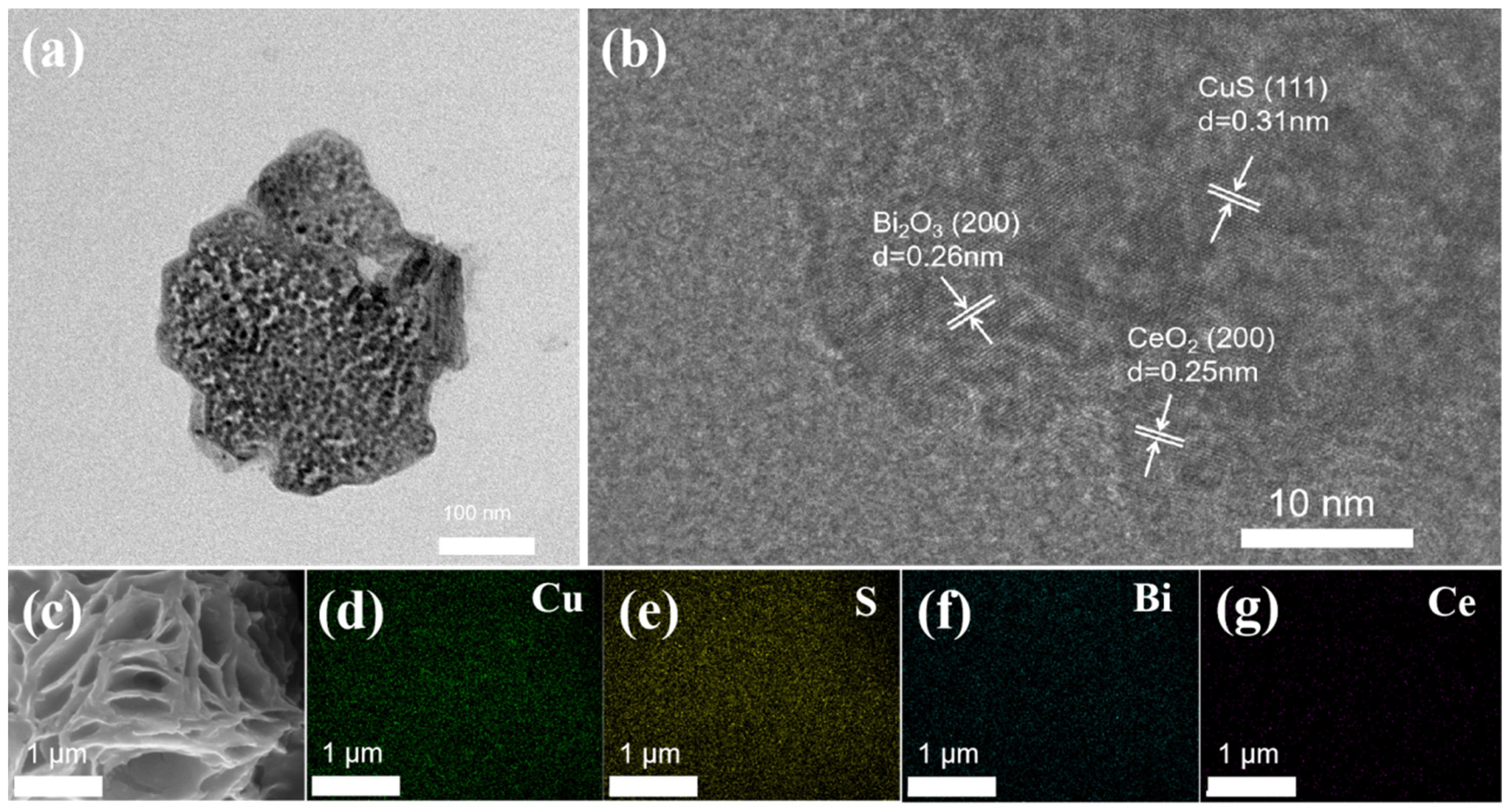 Bi/CeO2–Decorated CuS Electrocatalysts for CO2-to-Formate Conversion