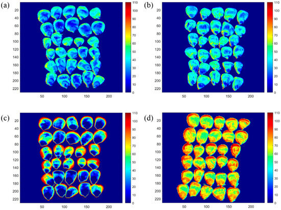 Study on Rapid Non-Destructive Detection Method of Corn Freshness Based ...