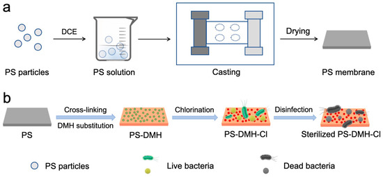 In Situ Preparation of Chlorine-Regenerable Antimicrobial Polymer Molecular Sieve Membranes