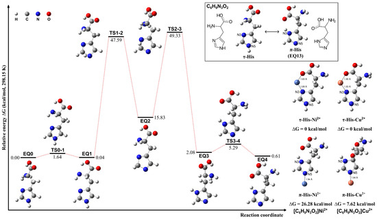 Theoretical Analysis of Coordination Geometries in Transition Metal ...