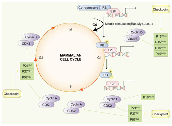 Synthetic Approaches and Clinical Application of Representative Small ...