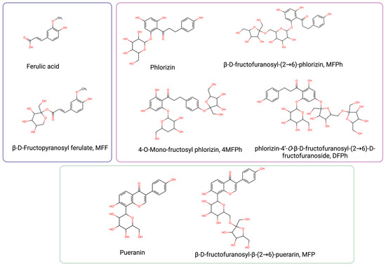 Enzymatic Fructosylation of Phenolic Compounds: A New Alternative for ...