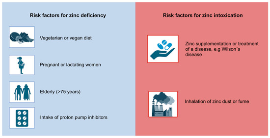 Zinc Toxicity: Understanding the Limits