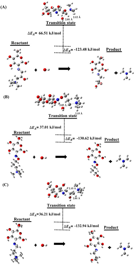 Atomistic Modeling of Quaternized Chitosan Head Groups: Insights into ...