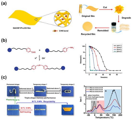 Dynamic Covalent Bond-Based Polymer Chains Operating Reversibly with ...