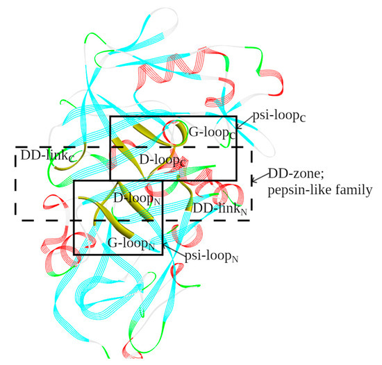 Structural Catalytic Core of the Members of the Superfamily of Acid ...