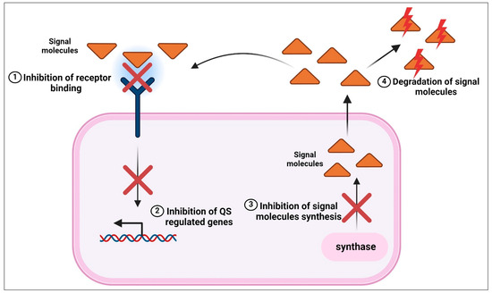 Quorum Sensing Inhibitors: An Alternative Strategy to Win the Battle ...