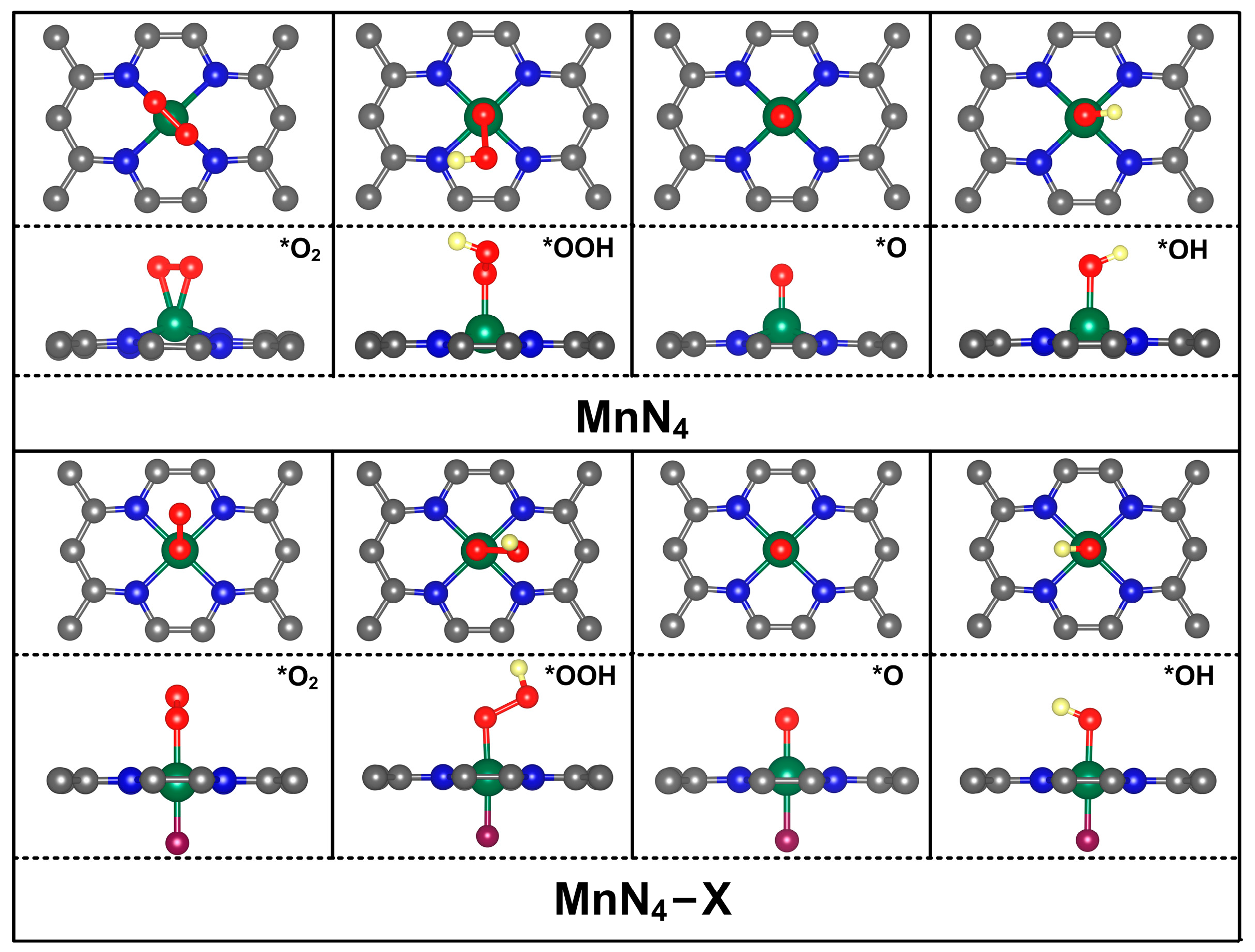 Boosting the Electrocatalytic Oxygen Reduction Activity of MnN4-Doped ...