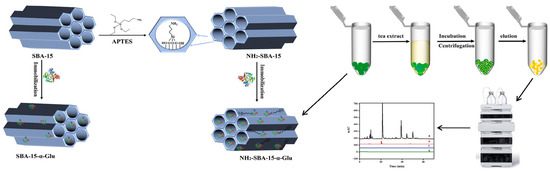 Advancing Adsorption and Separation with Modified SBA-15: A ...