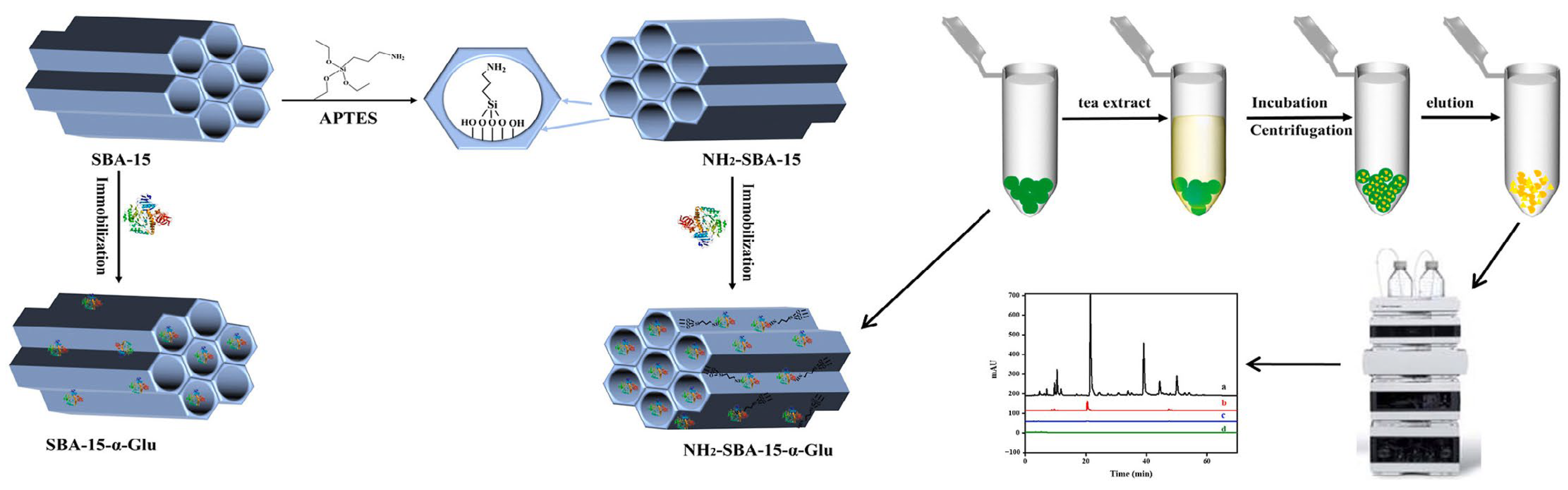 Molecules | Free Full-Text | Advancing Adsorption and Separation with Modified SBA-15: A ...