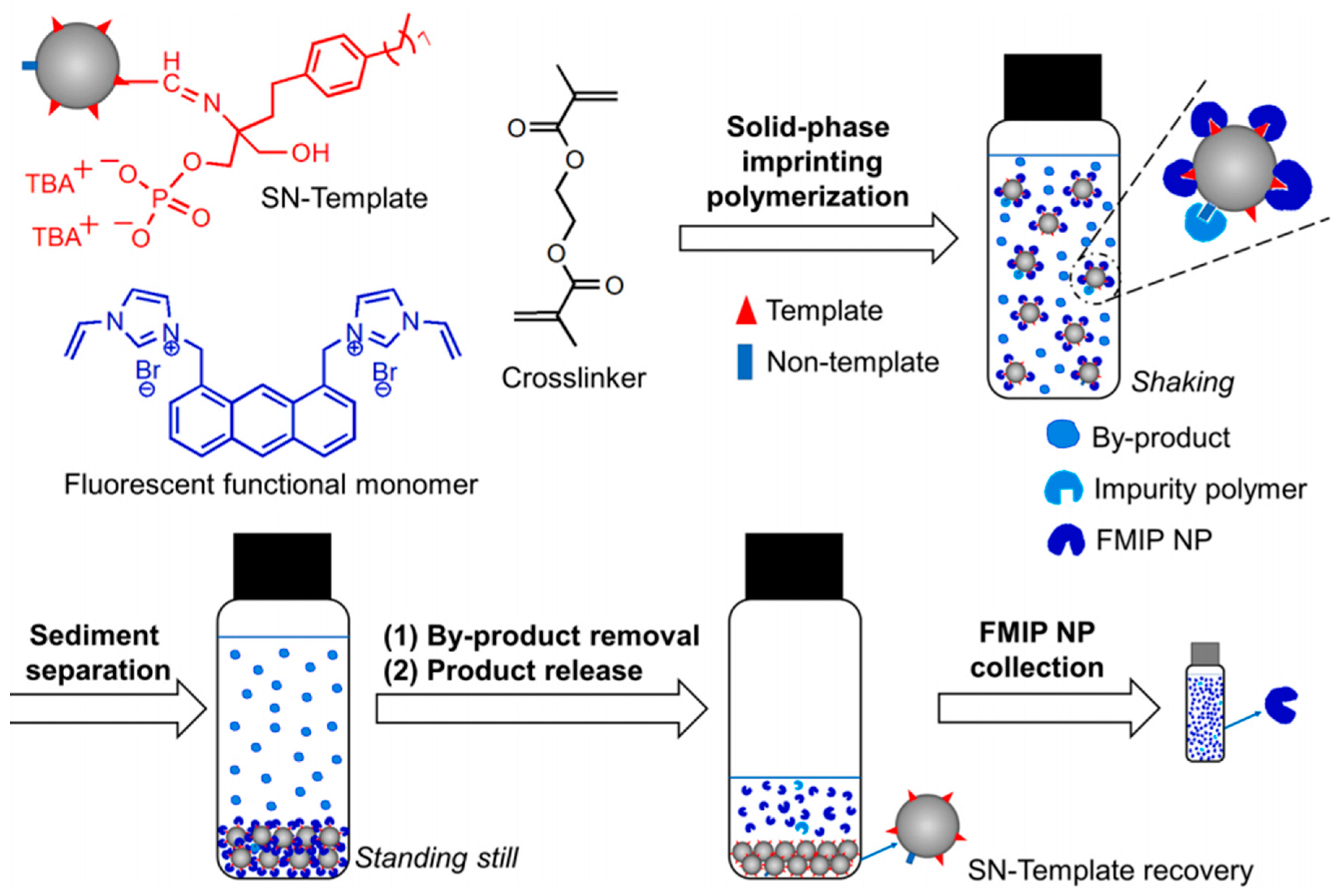 Fundamentals, Synthetic Strategies and Applications of Non-Covalently ...