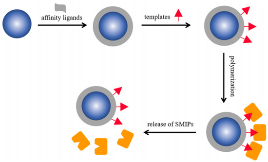 Fundamentals, Synthetic Strategies and Applications of Non-Covalently ...