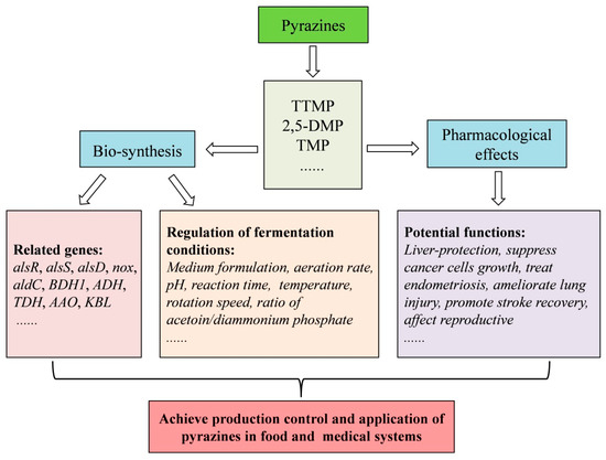 Progress on the Synthesis Pathways and Pharmacological Effects of ...