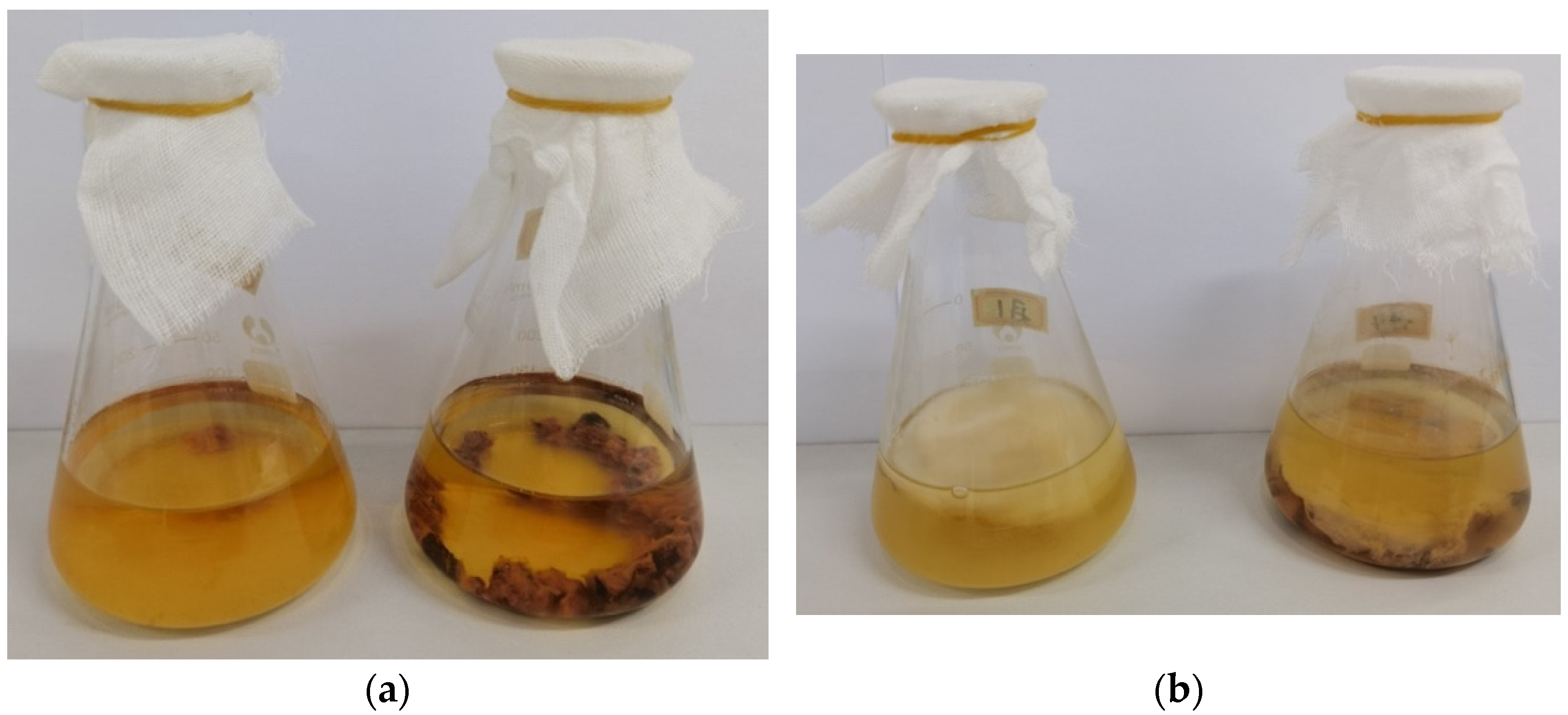 Effects of Fermentation with Kombucha Symbiotic Culture of Bacteria and ...