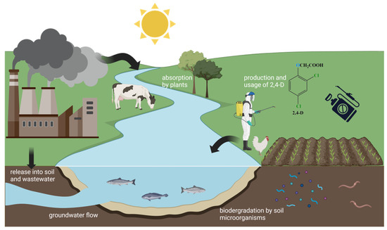 Molecules | Free Full-Text | Microorganism-Driven 2,4-D Biodegradation ...