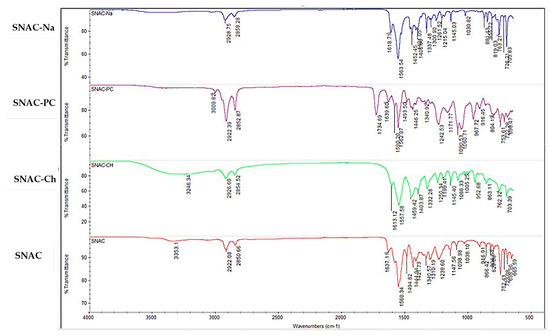 The Synthesis of SNAC Phenolate Salts and the Effect on Oral ...