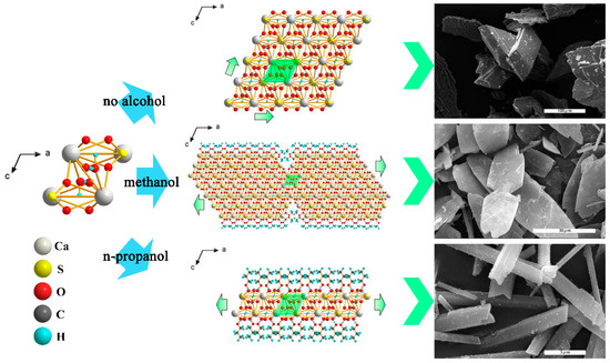 High-Efficiency Purification and Morphology Regulation of CaSO4·2H2O ...