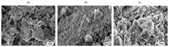Calcium Citrate Amount and Gelatine Source Impact on Hydroxyapatite ...
