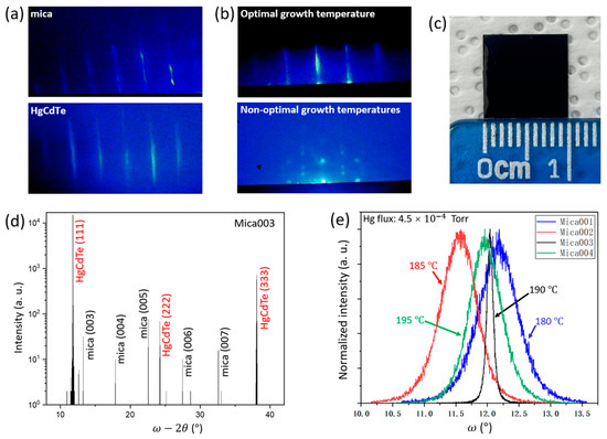 Growth of Hg0.7Cd0.3Te on Van Der Waals Mica Substrates via Molecular ...