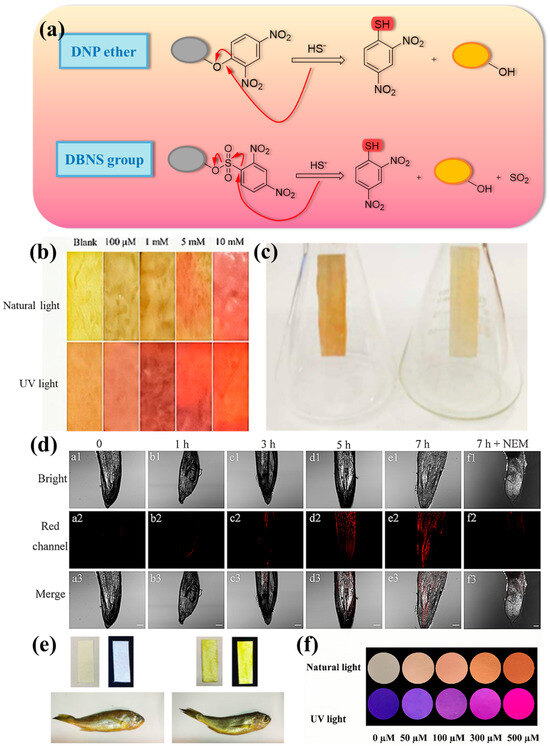 The Application of Hydrogen Sulfide Fluorescent Probe in Food ...