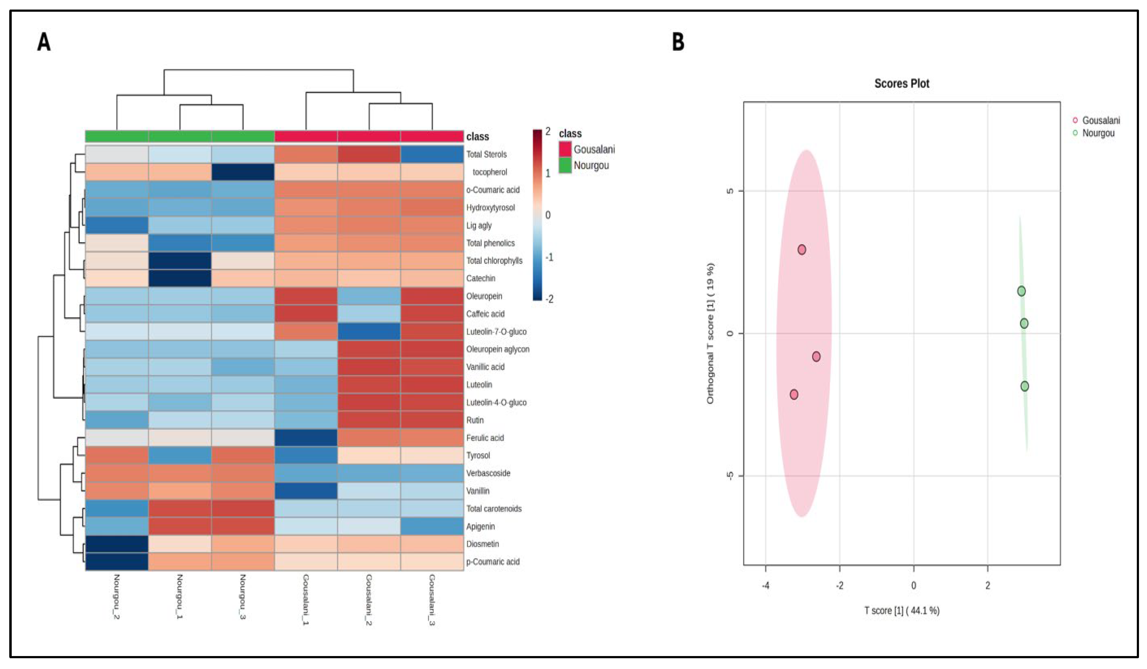 Molecules | Free Full-Text | Phytochemical Characterization of Two New ...