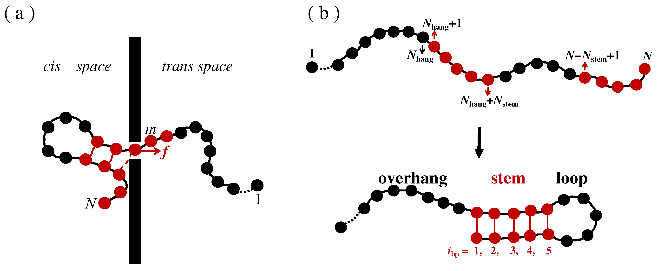 Molecules | Free Full-Text | Langevin Dynamics Study on the Driven ...
