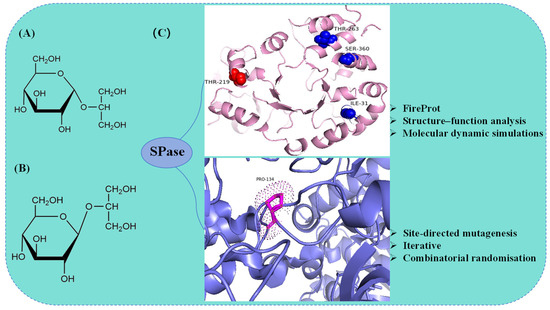 Advancements in the Heterologous Expression of Sucrose Phosphorylase ...