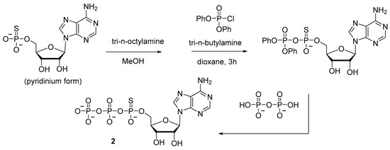 Synthesis and Properties of α-Phosphate-Modified Nucleoside Triphosphates