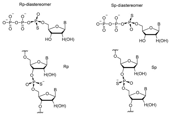 Synthesis and Properties of α-Phosphate-Modified Nucleoside Triphosphates