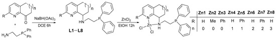 Intensive Cycloalkyl-Fused Pyridines for Aminopyridyl–Zinc ...