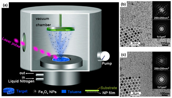 Magnetite Nanoparticle Assemblies and Their Biological Applications: A ...