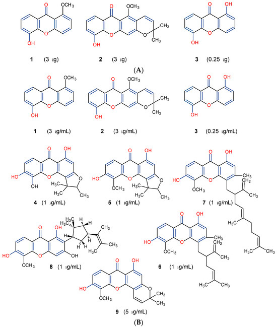 Naturally Occurring Xanthones and Their Biological Implications