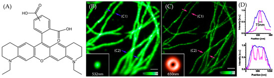 The ATTO 565 Dye and Its Applications in Microscopy