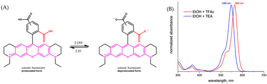 The ATTO 565 Dye and Its Applications in Microscopy